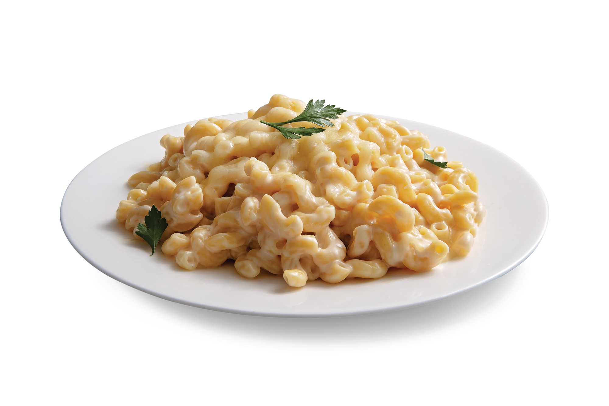 Macaroni Cheese Rootberry macaroni-cheese-rootberry